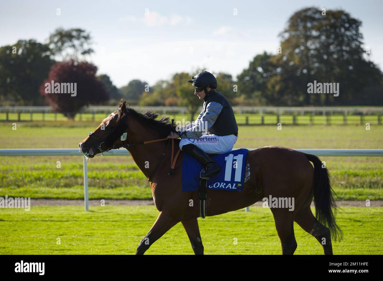 Jockey PJ McDonald riding Lucky Man at York Races Stock Photo - Alamy