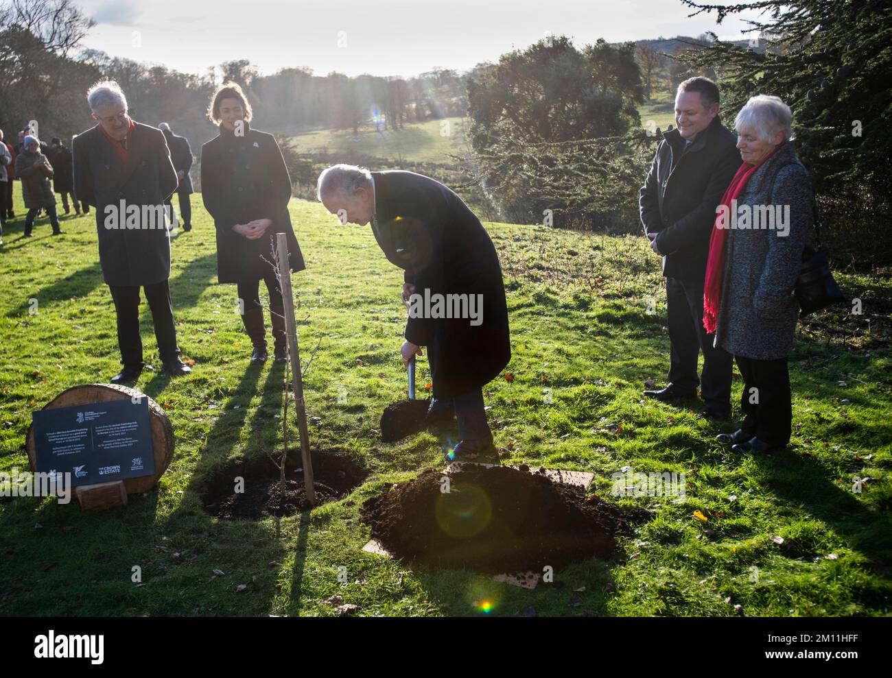 King Charles III plants an oak sapling, grown from the ancient ...