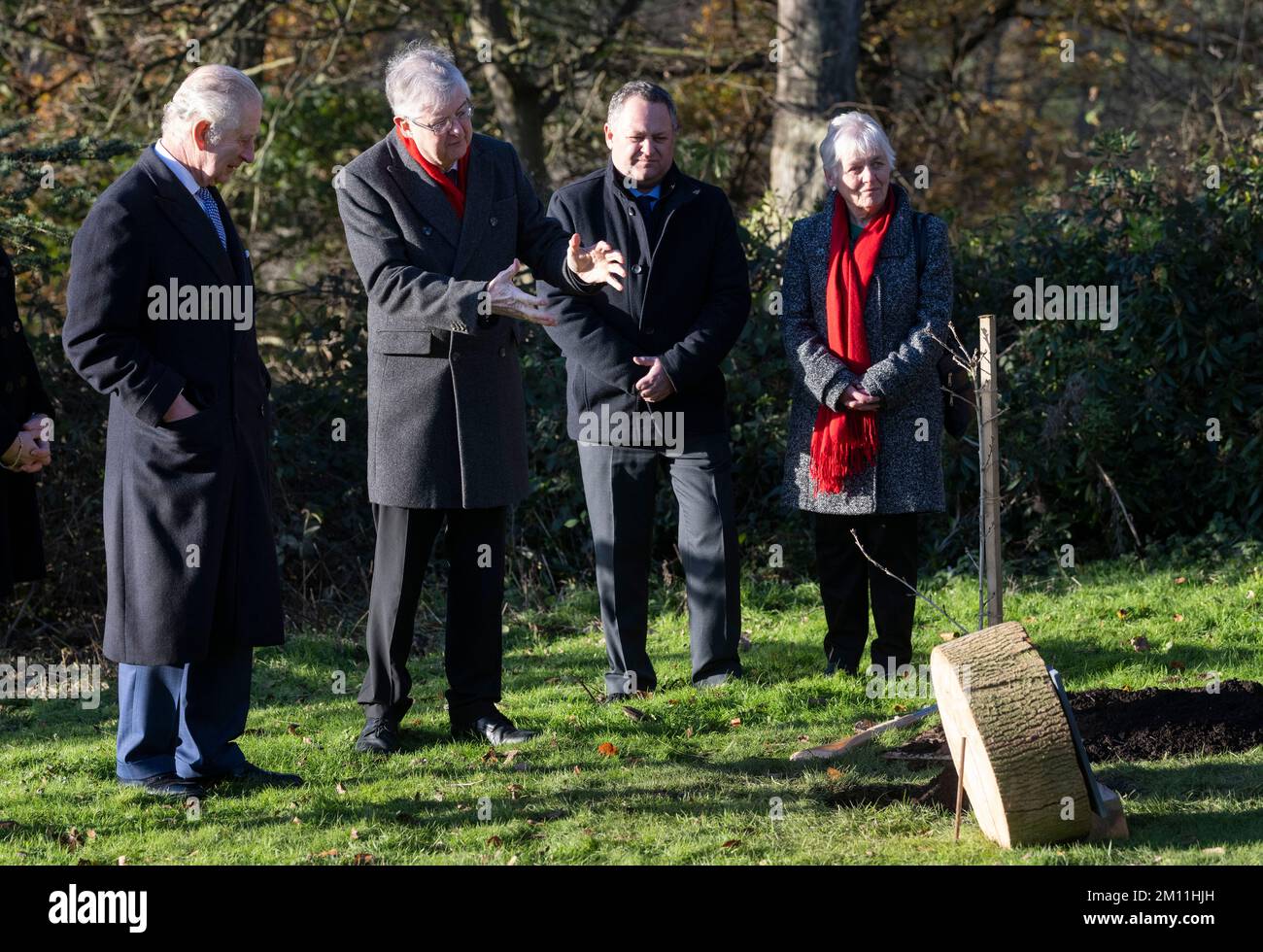 King Charles III plants an oak sapling, grown from the ancient ...