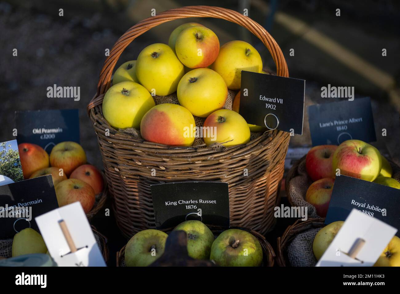 Some of the variety of apples seen by King Charles III during his visit ...