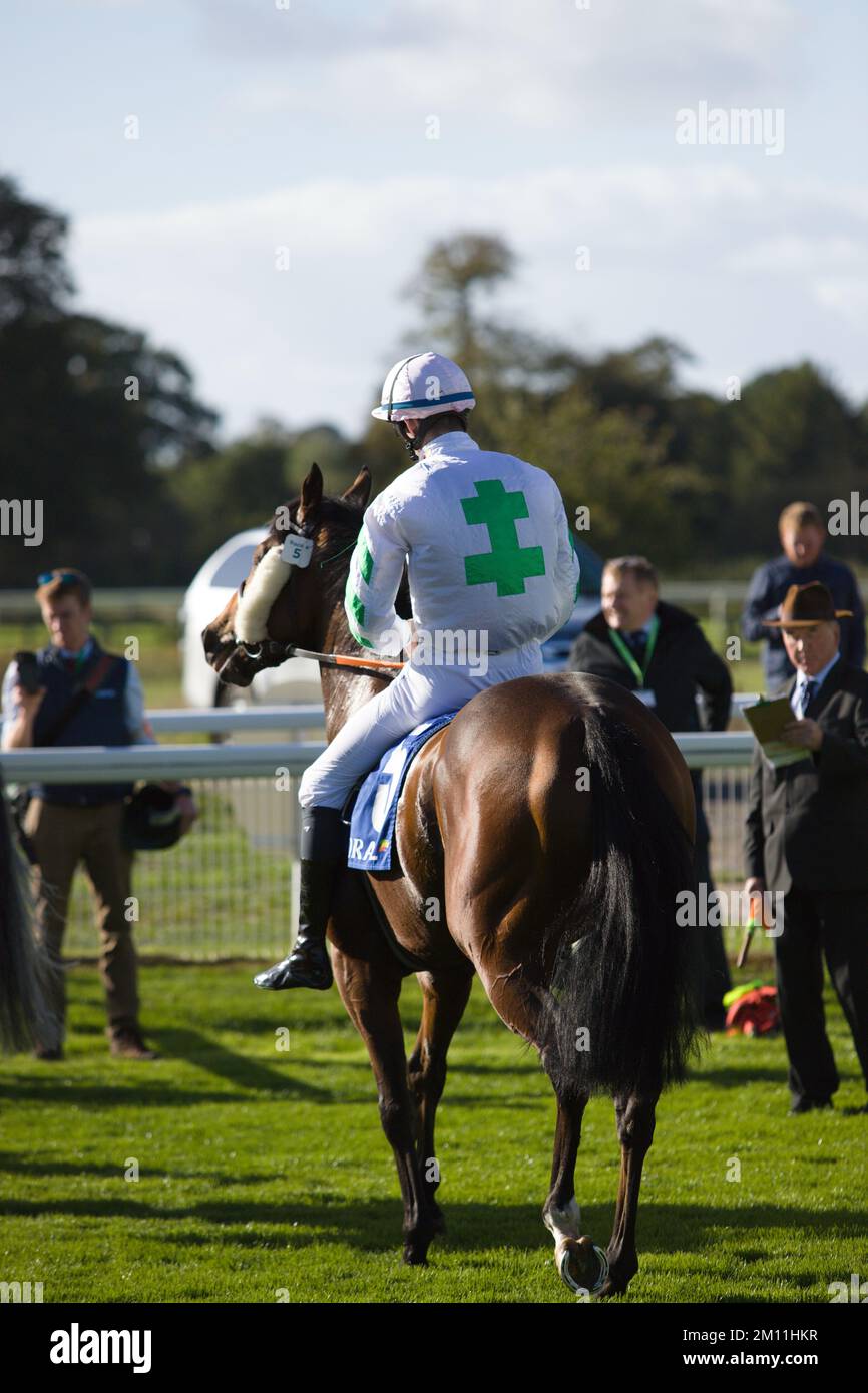 Jockey Ben Martin Coen on Zarzyni at York races Stock Photo - Alamy
