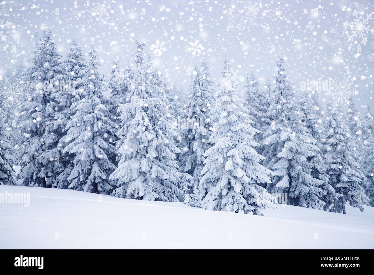 magical frozen winter landscape with snow covered fir trees Stock Photo ...