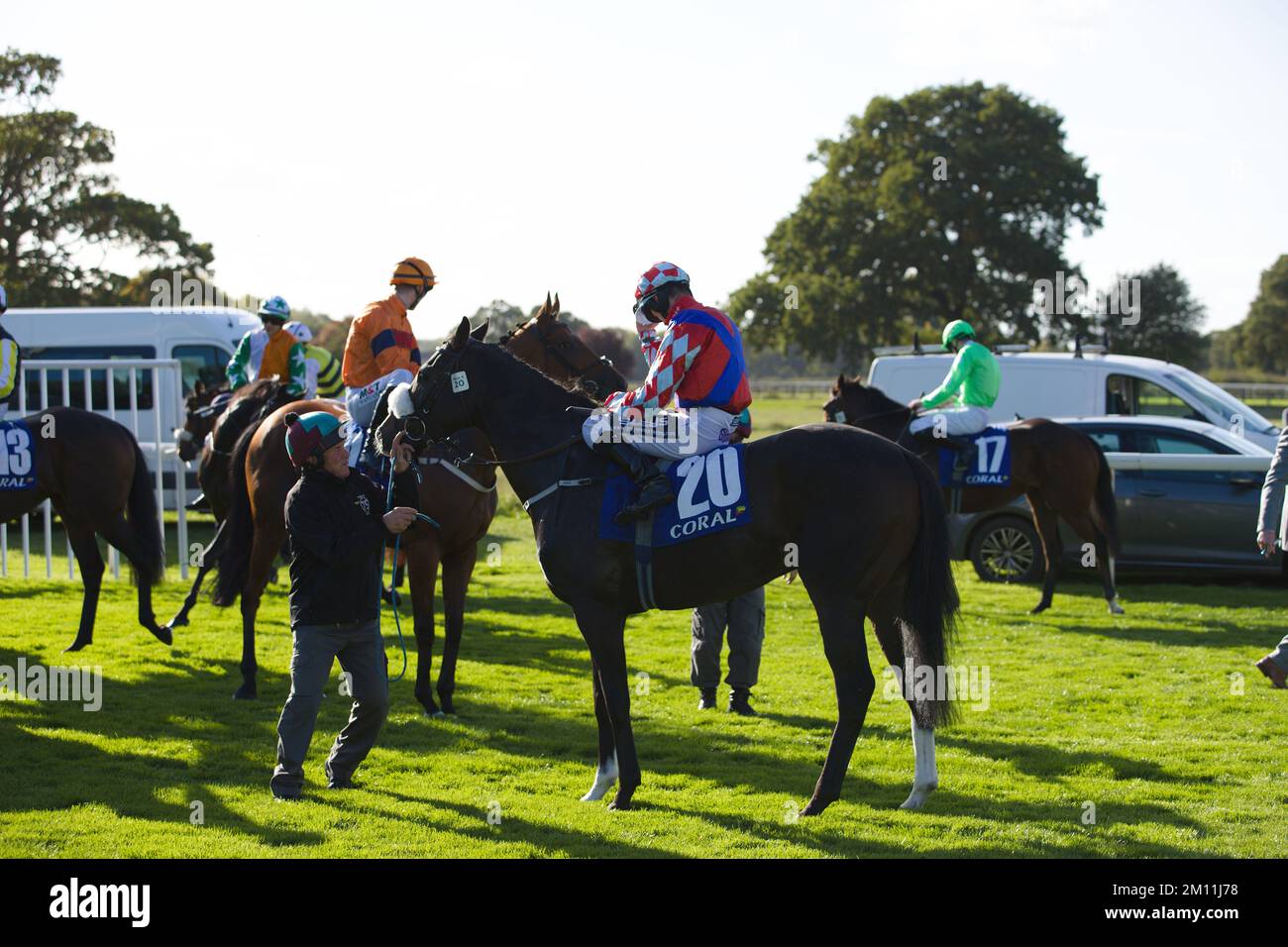 Strike red horse hi-res stock photography and images - Alamy