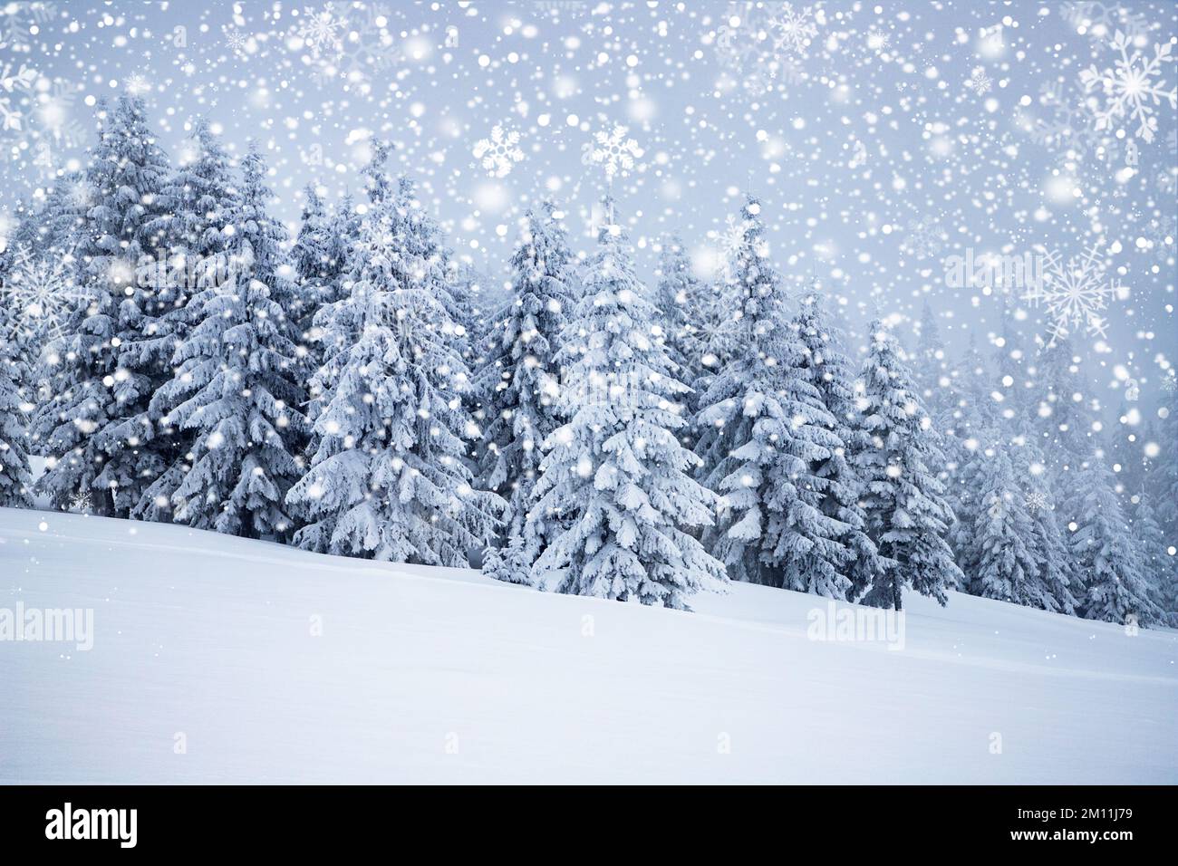 magical frozen winter landscape with snow covered fir trees Stock Photo ...