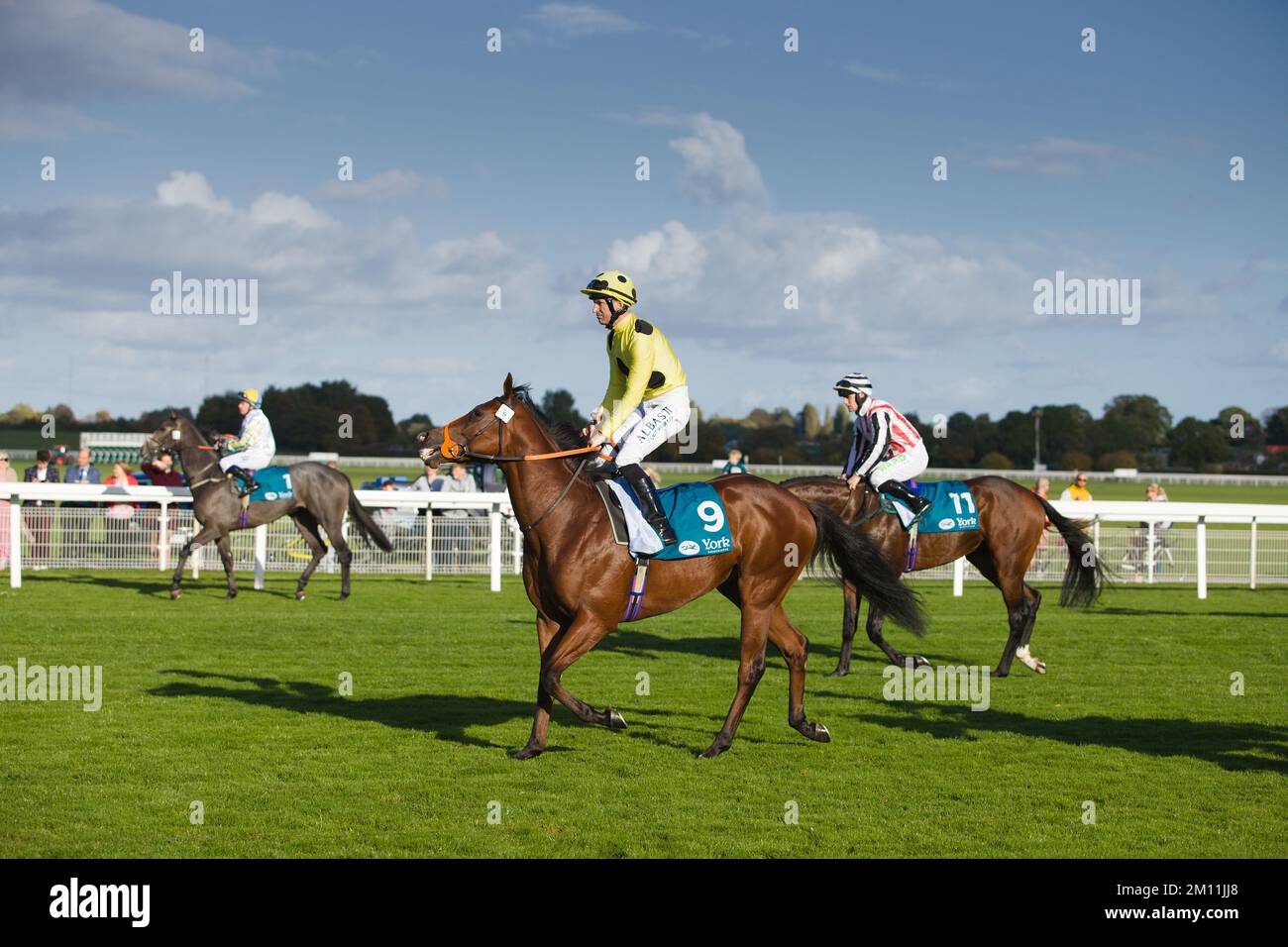 Jockey Pat Dobbs rides King Sharja to the starting gates at York Races ...