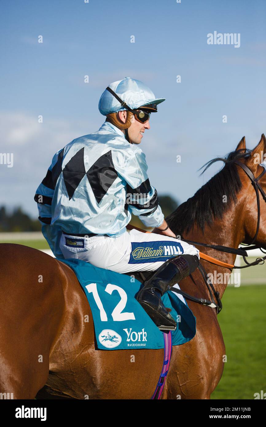 Jockey Kevin Stott waiting at the starting gates at York Races Stock ...