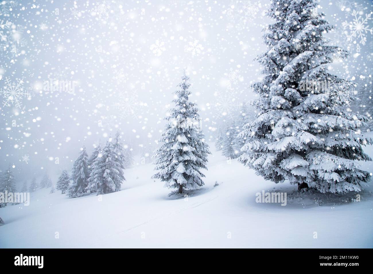 magical frozen winter landscape with snow covered fir trees Stock Photo ...
