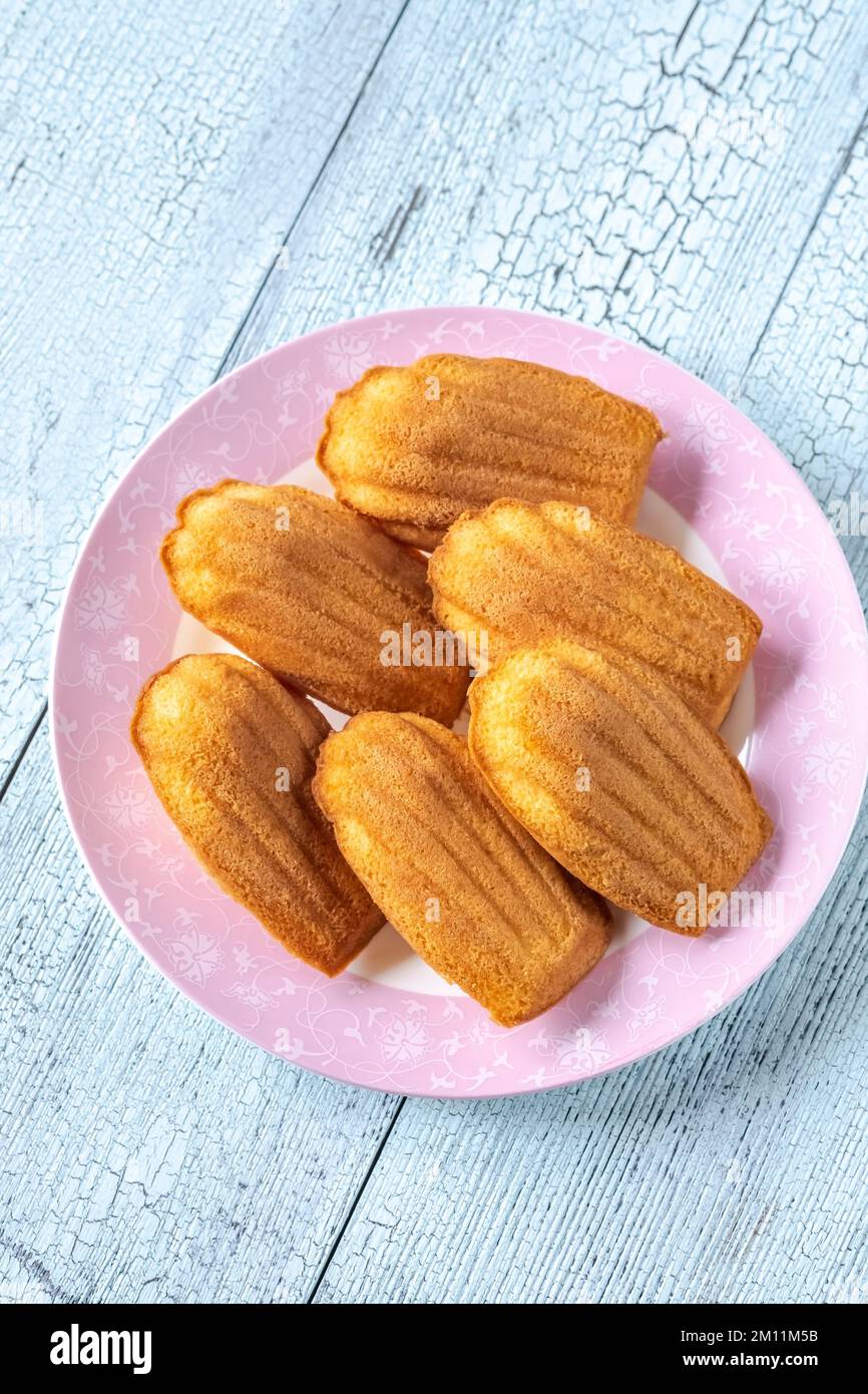 Traditional french sponge cookies cakes hi-res stock photography and ...