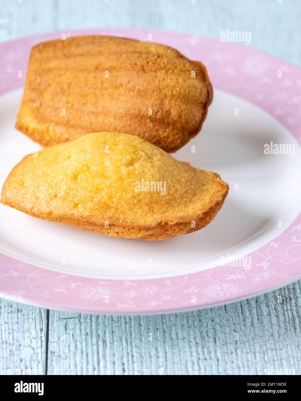 Small sponge hi-res stock photography and images - Alamy