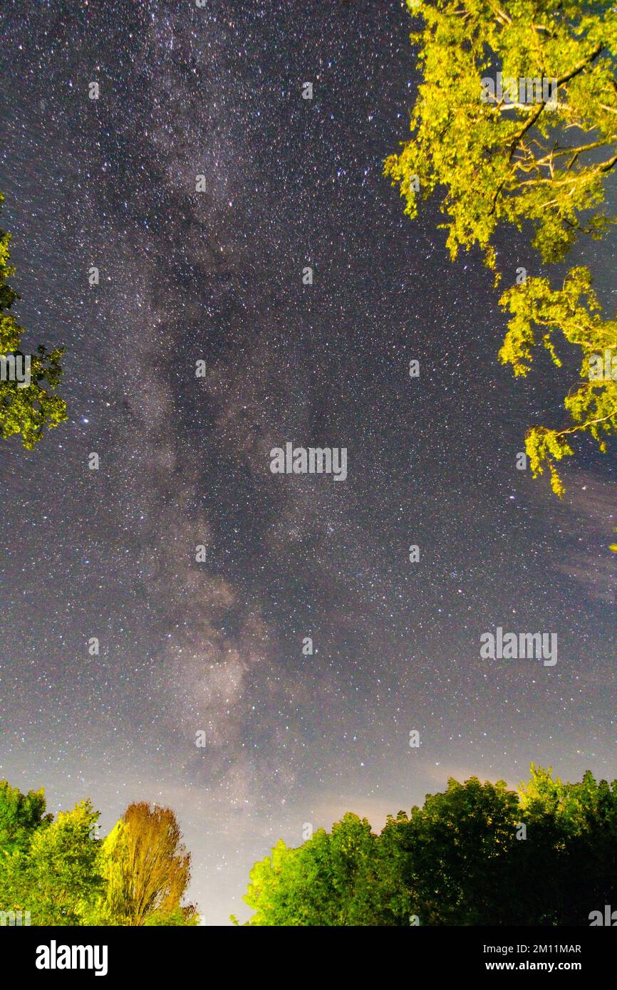 The low angle of star full sky with clouds reflection above the trees ...