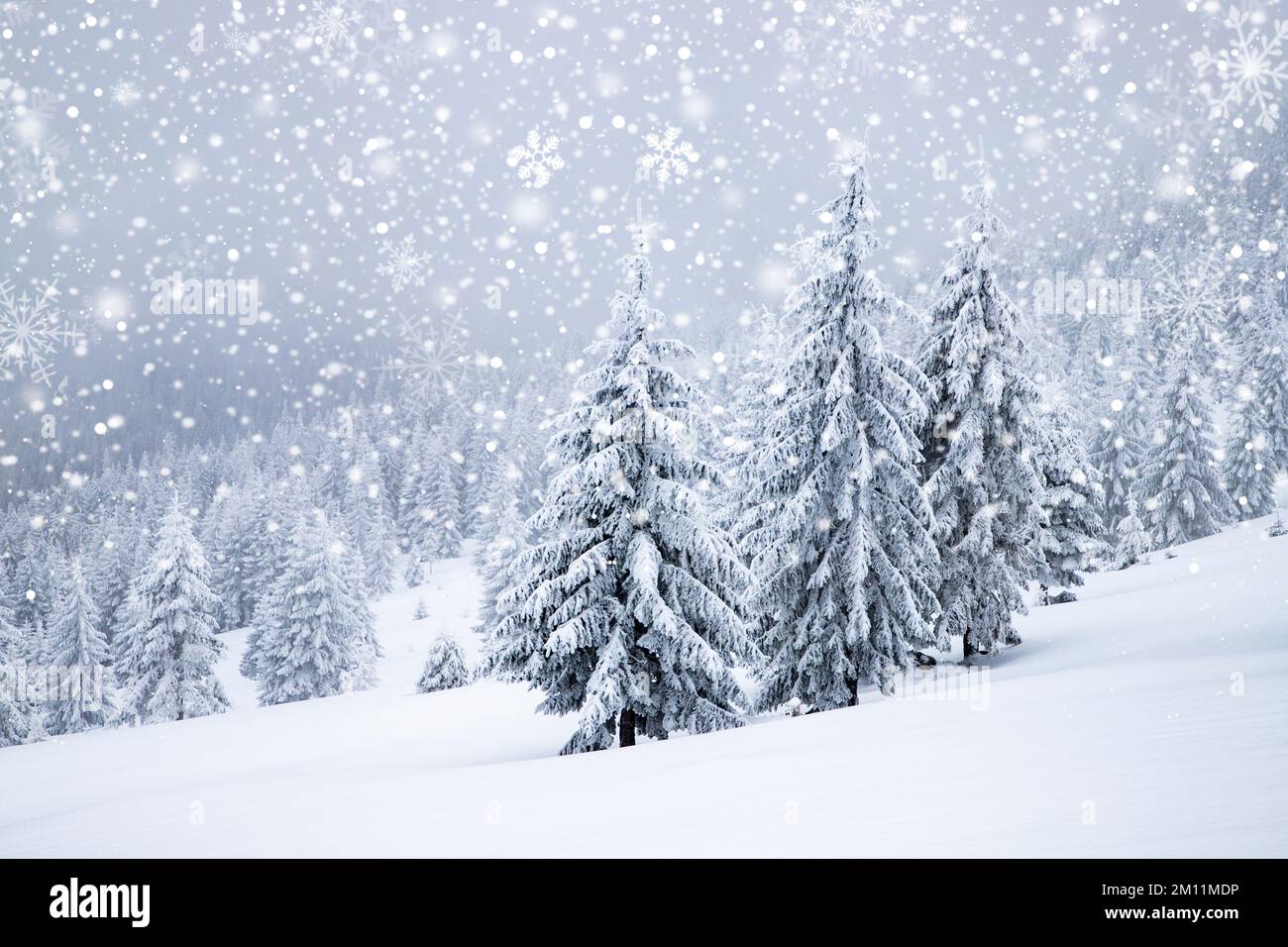 magical frozen winter landscape with snow covered fir trees Stock Photo ...