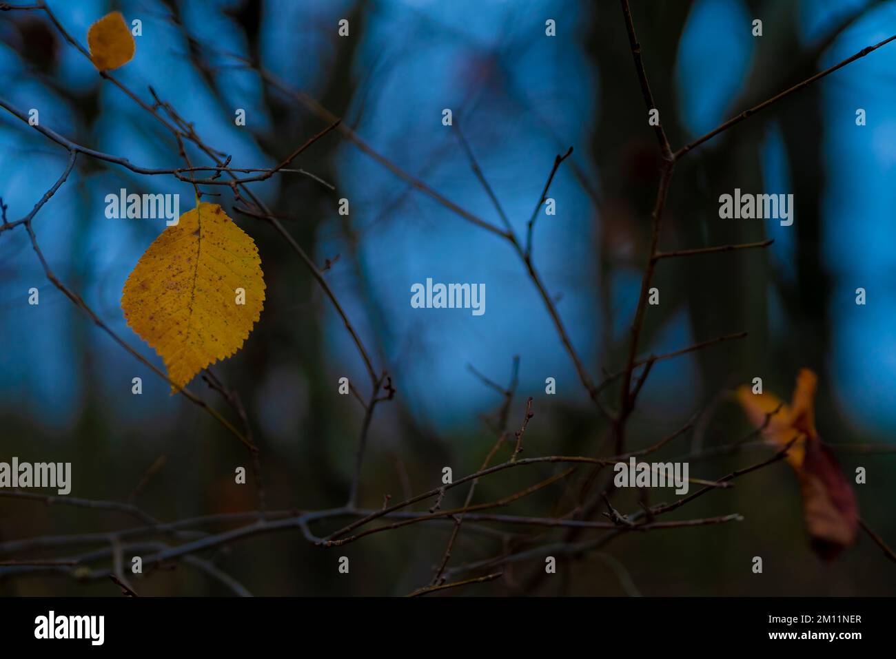 Background with depth hi-res stock photography and images - Alamy