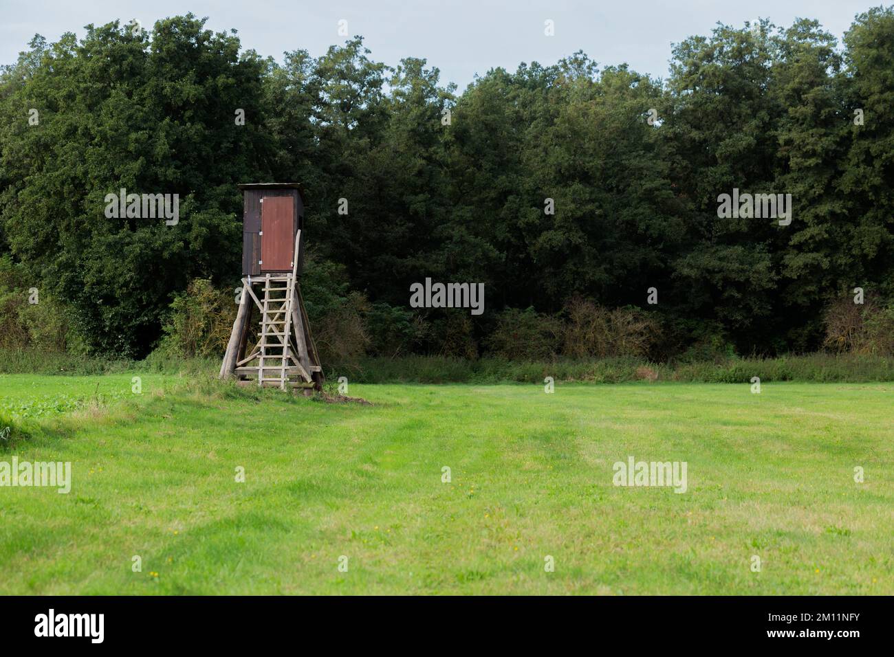 Green hunters hi-res stock photography and images - Alamy