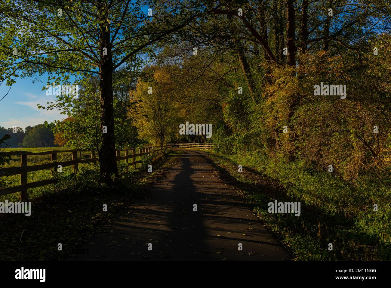 The beginning of autumn, cycle path in nature, the first leaves on the ...