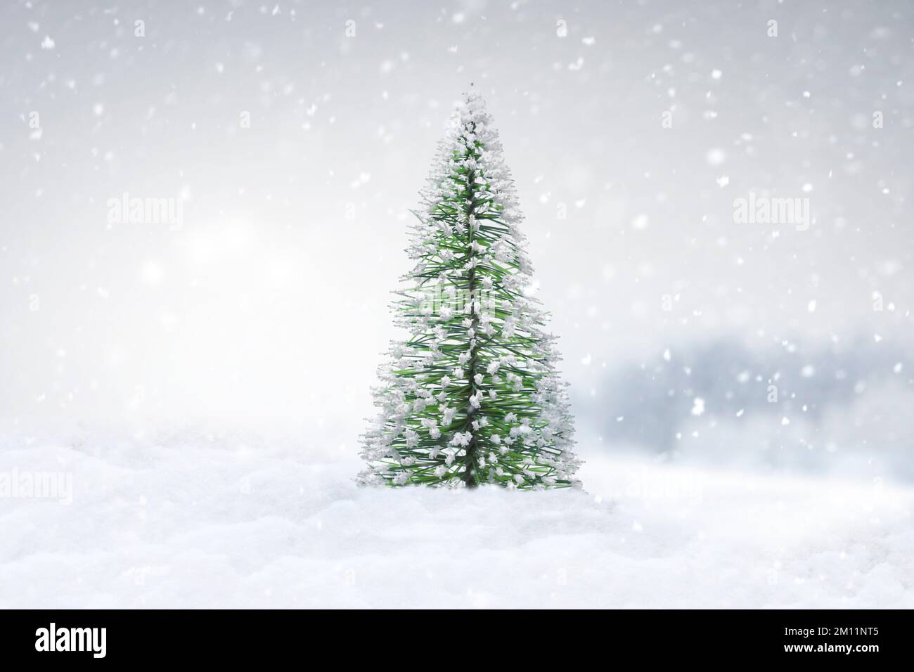 Tree during snowfall hi-res stock photography and images - Alamy