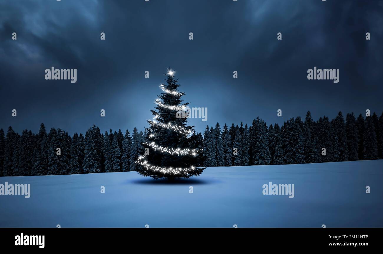 Christmas tree in snowy landscape at night Stock Photo - Alamy