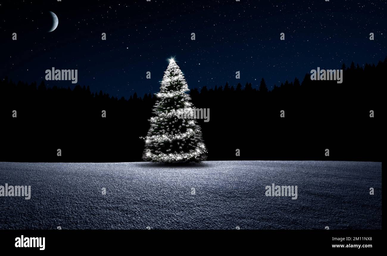 Night christmas landscape hi-res stock photography and images - Alamy