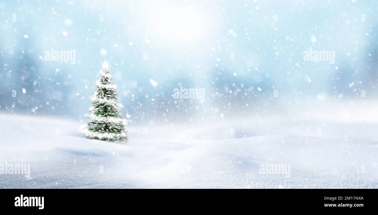 Tree during snowfall hi-res stock photography and images - Alamy