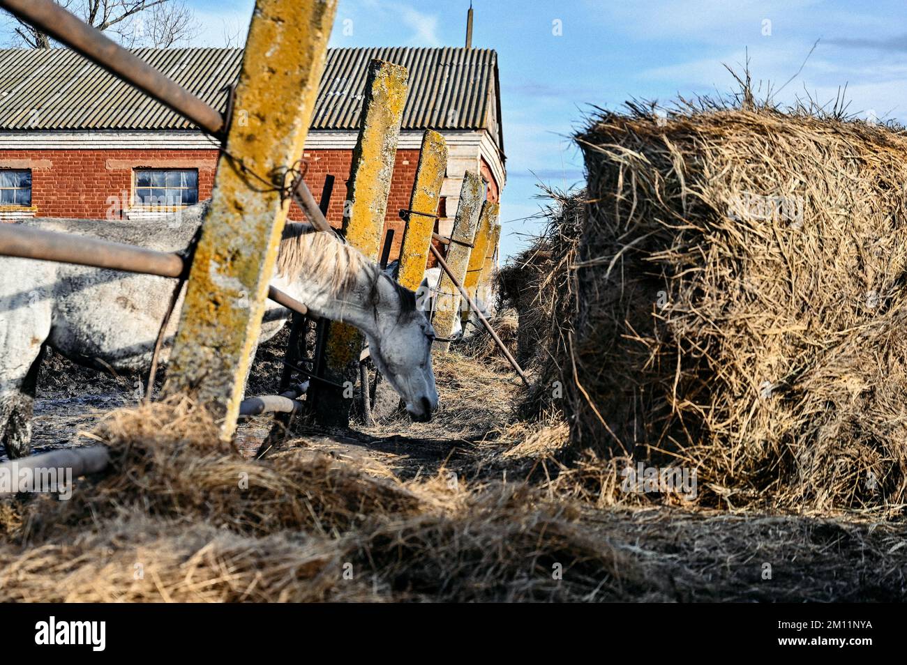 Trudove hi-res stock photography and images - Alamy
