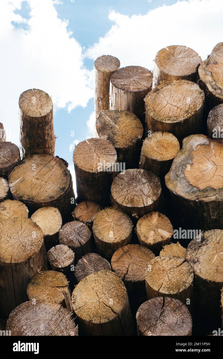 Part of a stack of tree trunks Stock Photo - Alamy