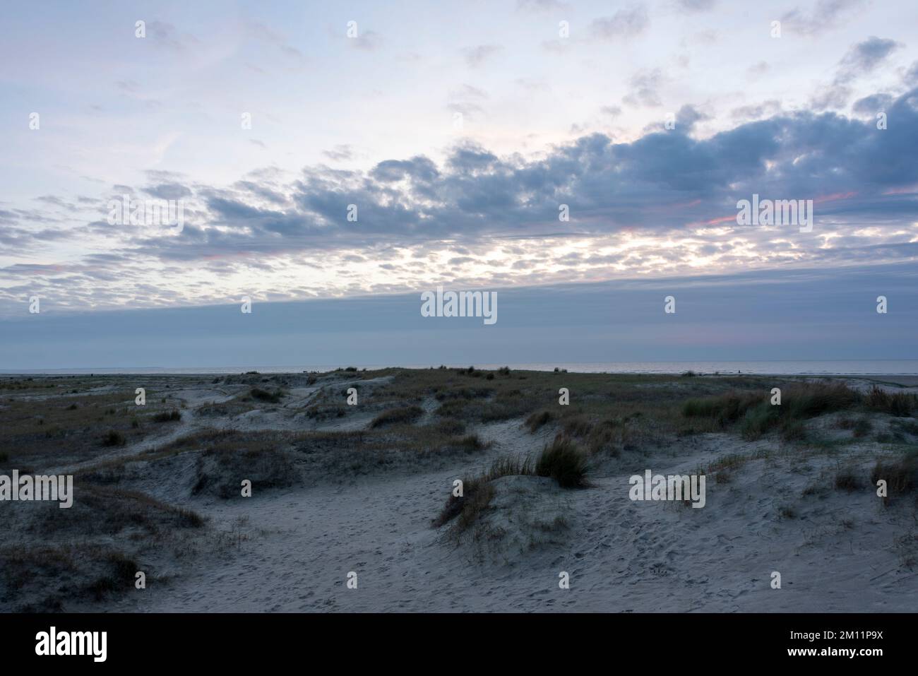 Wadden Sea, dune landscape, Wadden Sea National Park, Rømø Island ...
