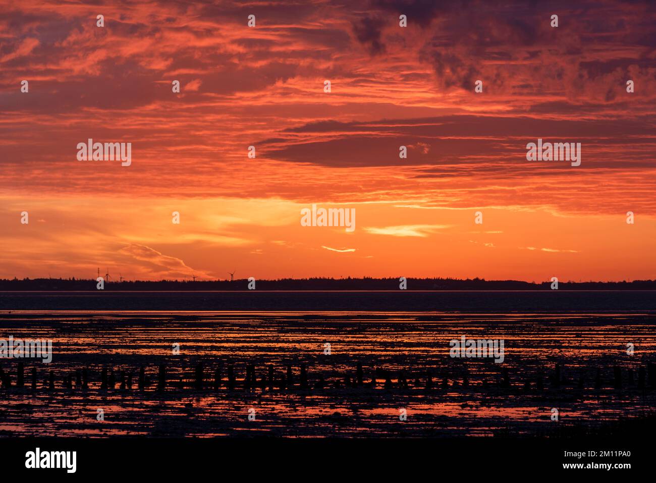 Sunrise in the Wadden Sea, Wadden Sea National Park, Rømø Island ...