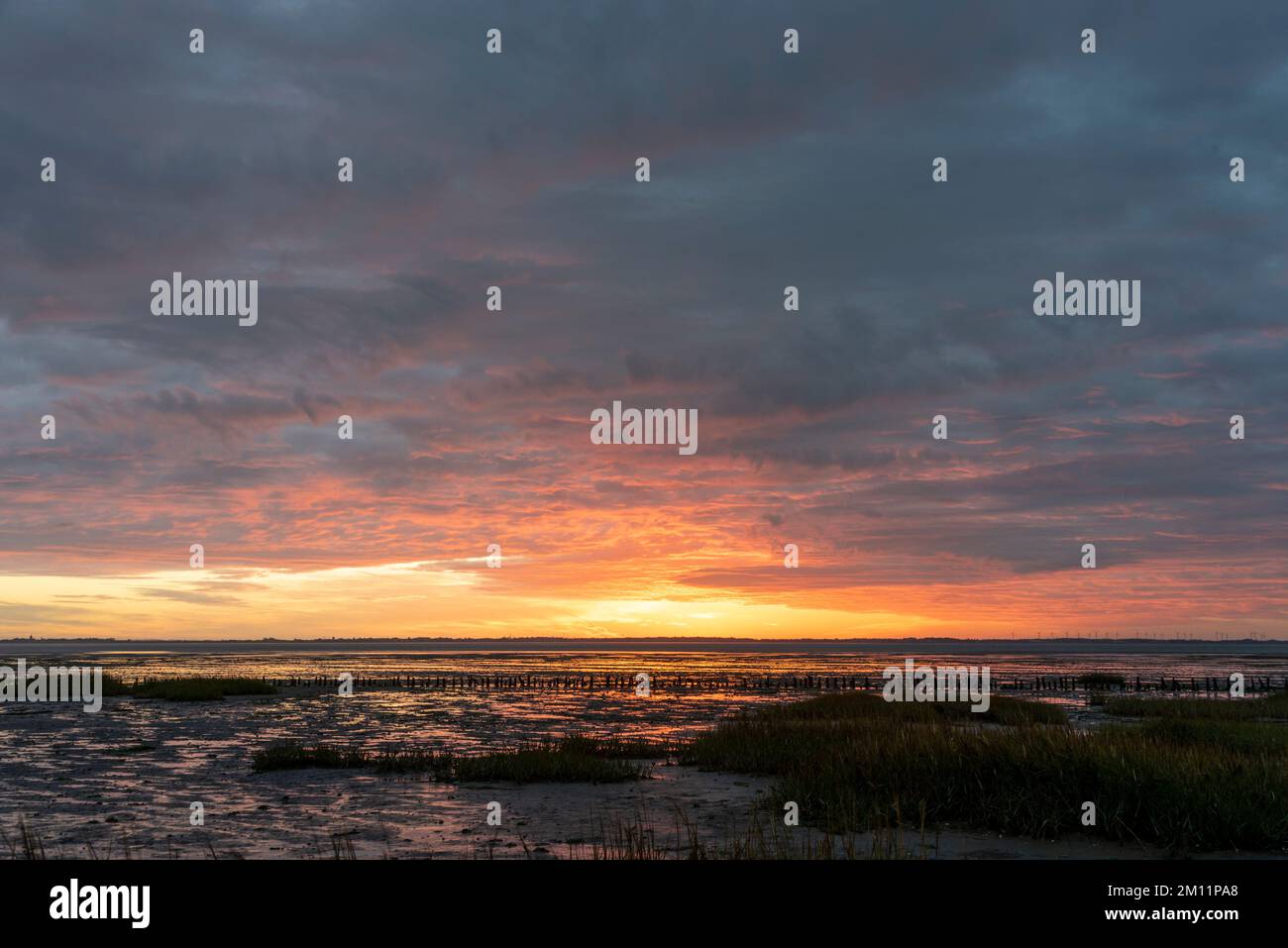Sunrise in the Wadden Sea, Wadden Sea National Park, Rømø Island ...