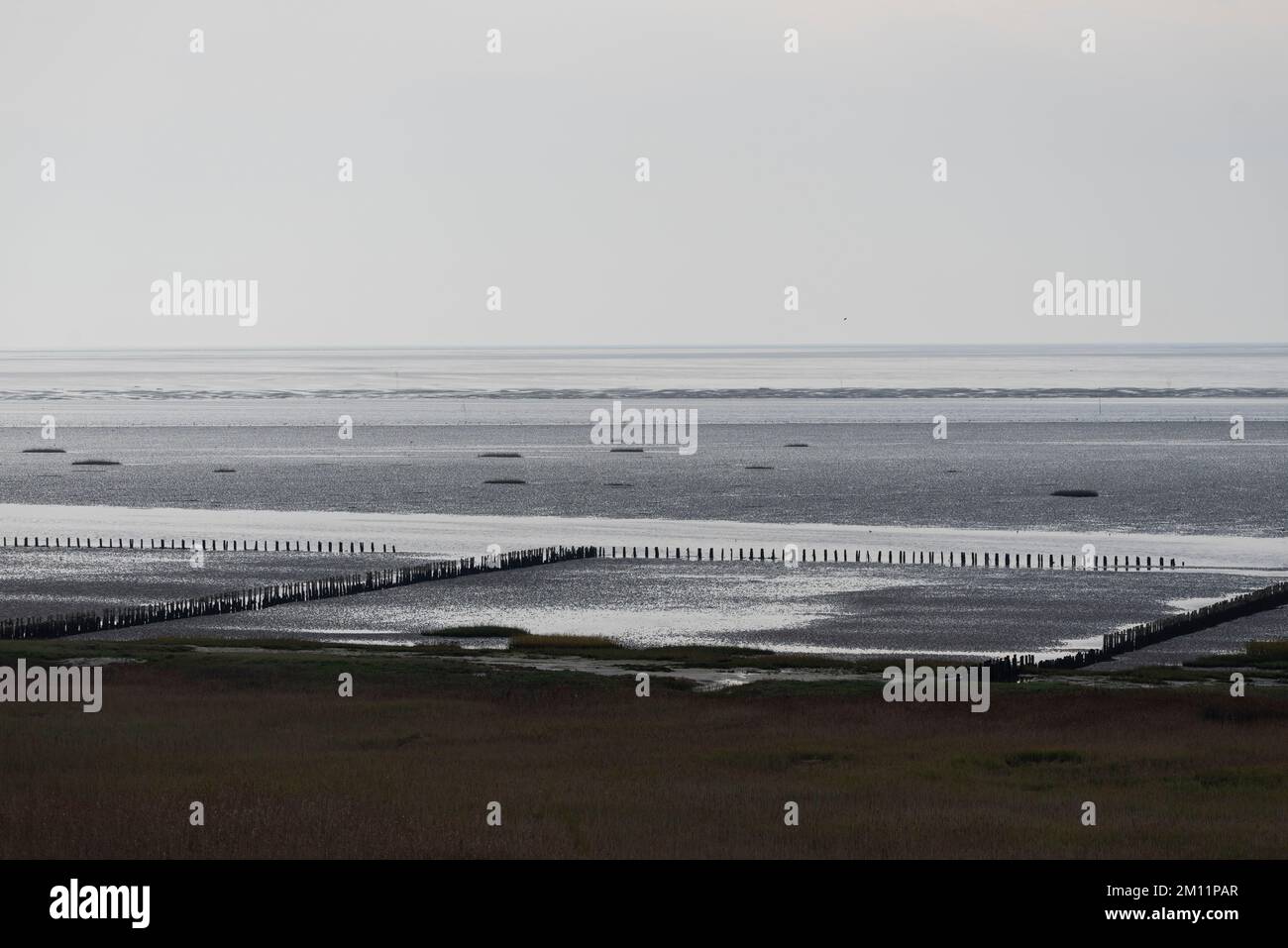 Danish wadden sea islands hi-res stock photography and images - Alamy
