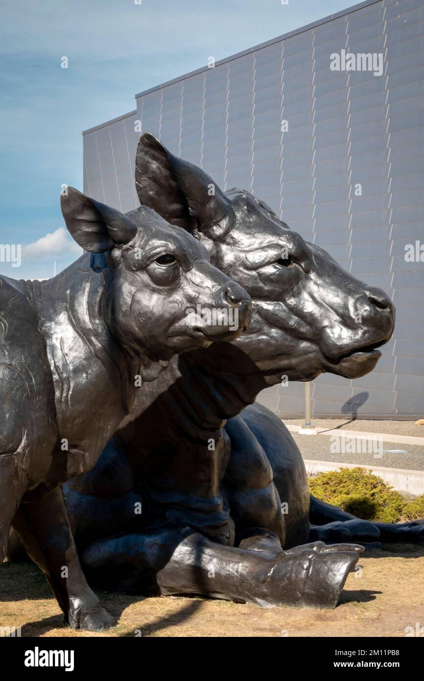 Dan Ostermiller's 2003 "Scottish Angus Cow & Calf" sculpture ,The ...