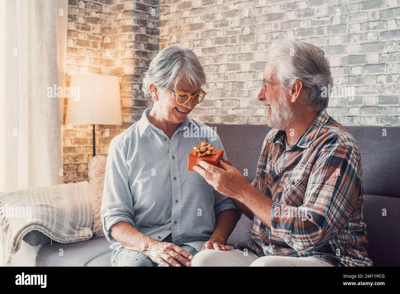 Portrait of two cute seniors at home having fun together. Mature man ...