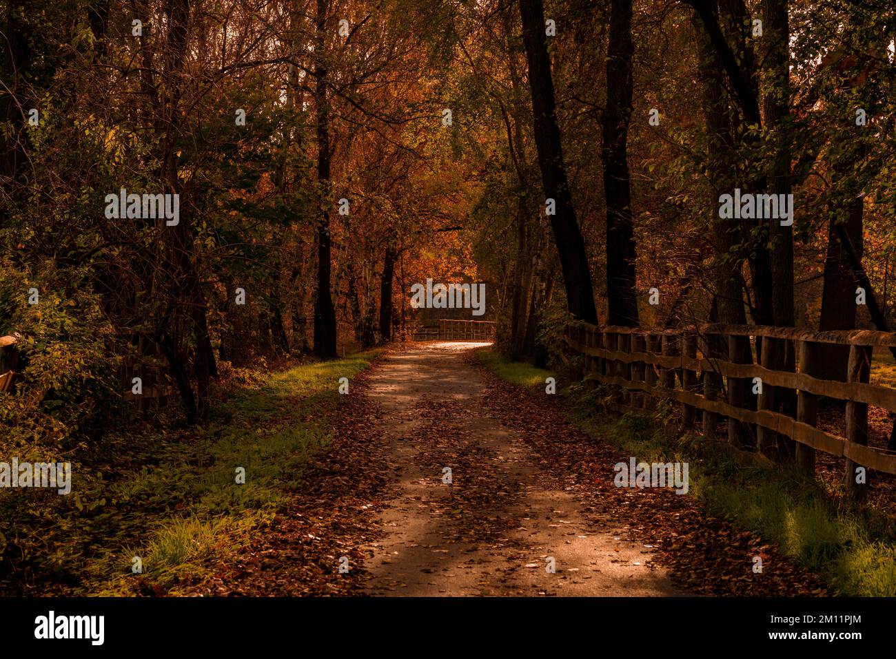 Sunny way hi-res stock photography and images - Alamy