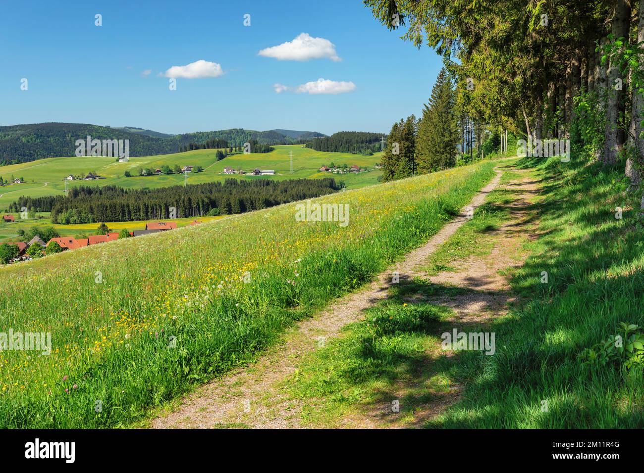 Path at the edge of the forest, Breitnau, Black Forest ...