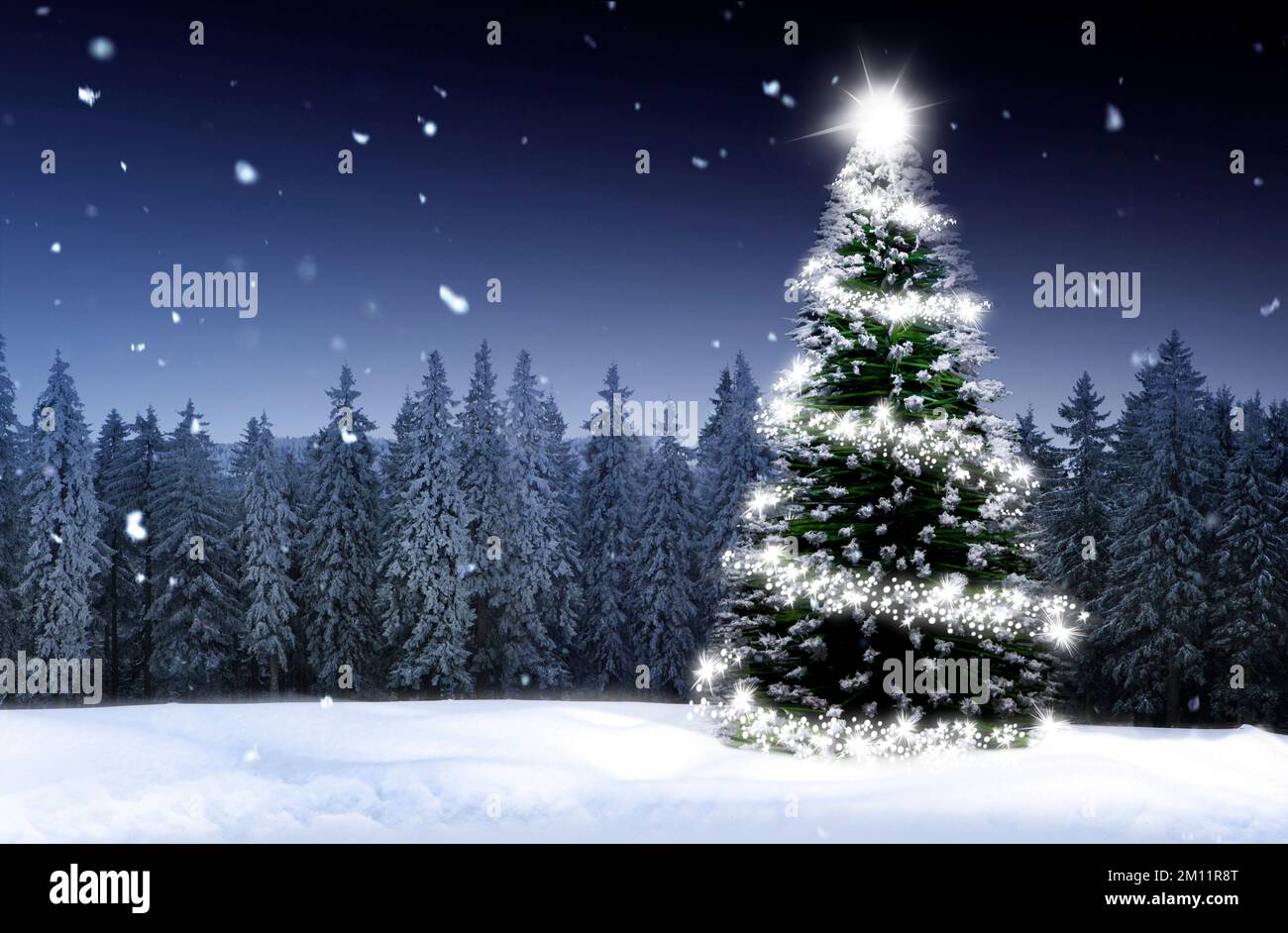 Winter landscape christmas tree hi-res stock photography and images - Alamy