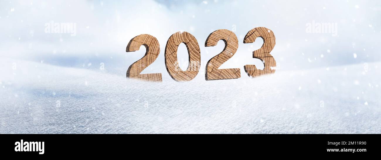 Year 2023 made of wood hi-res stock photography and images - Alamy