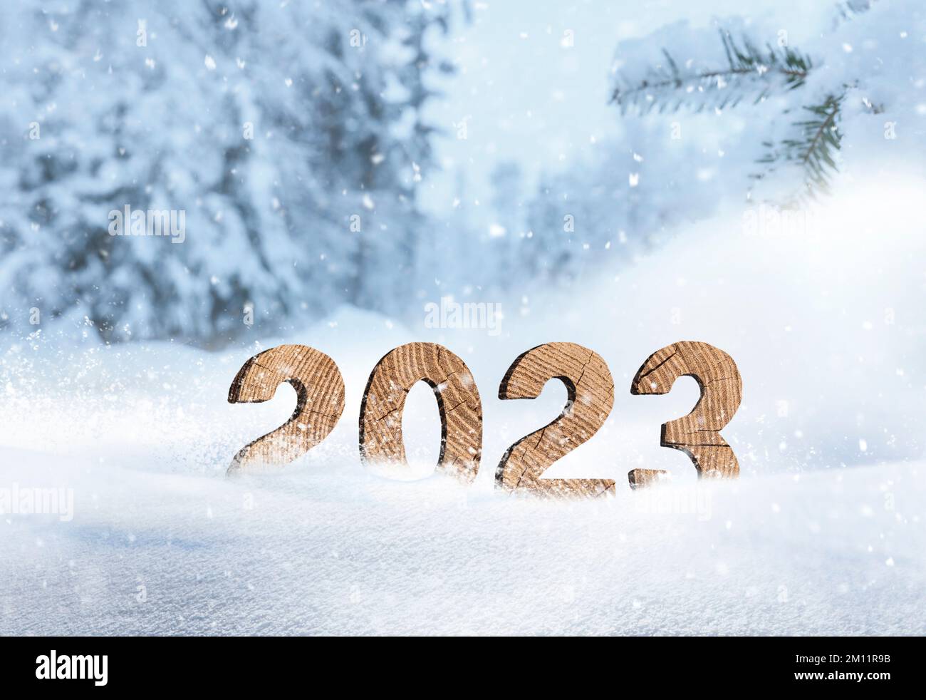 Year 2023 made of wood hi-res stock photography and images - Alamy