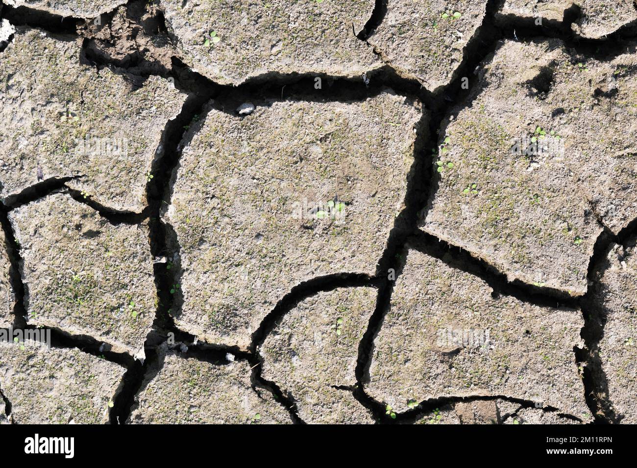 Soil summer hi-res stock photography and images - Alamy