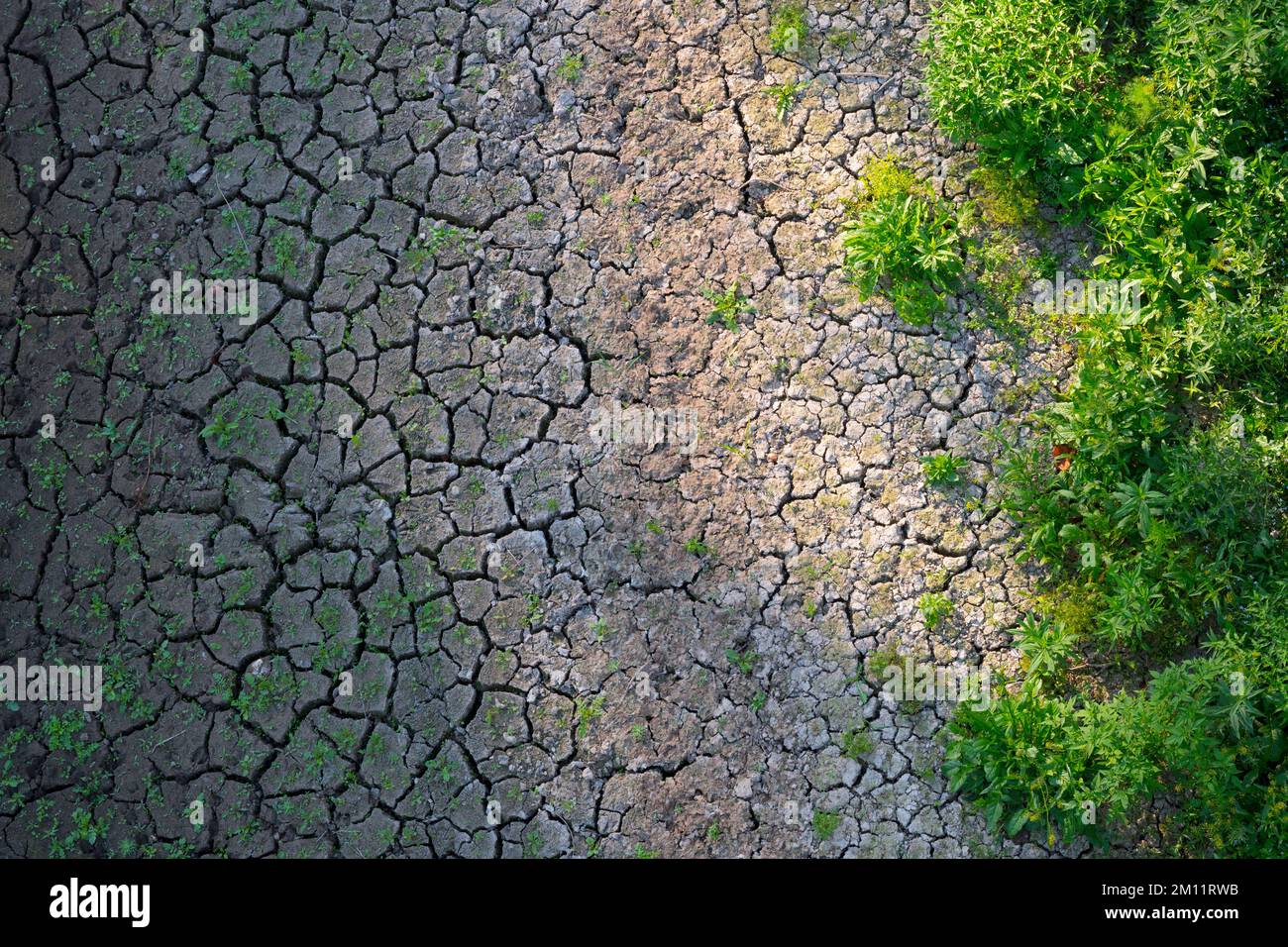 Soil summer hi-res stock photography and images - Alamy