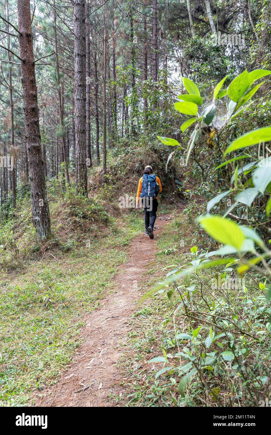 South America, Colombia, Departamento de Antioquia, Medellín, Envigado ...