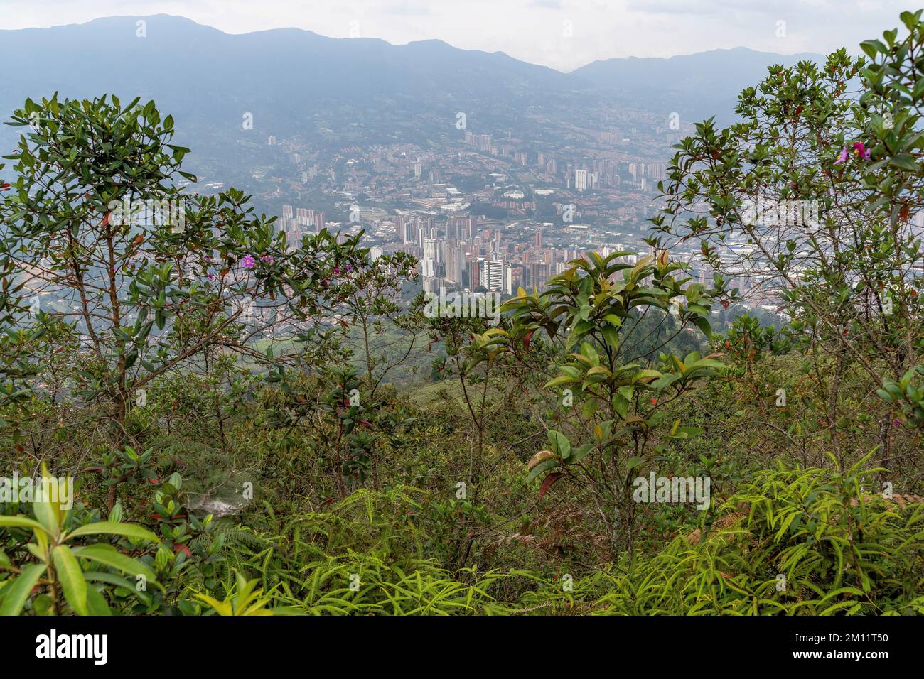 South America, Colombia, Departamento de Antioquia, Medellín, Envigado ...