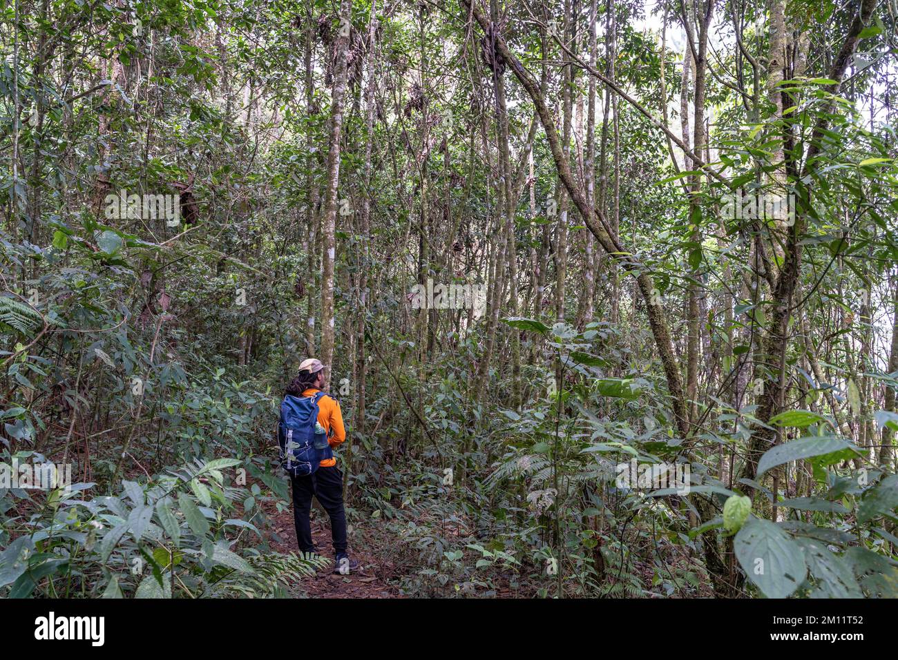 South America, Colombia, Departamento de Antioquia, Medellín, Envigado ...