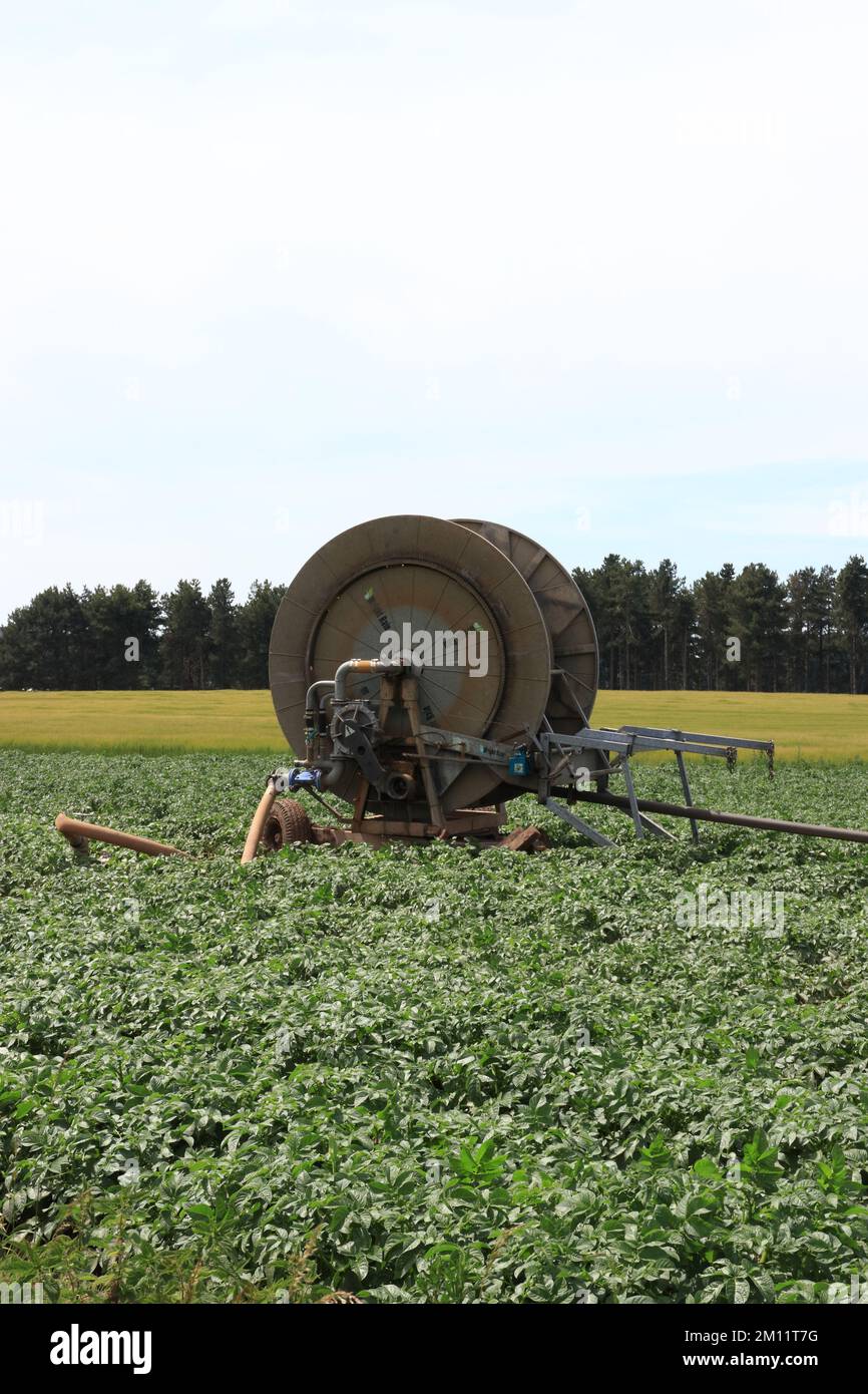 watering fields of potatoes, Foljambe Estates; Osberton; Rayton Lane ...