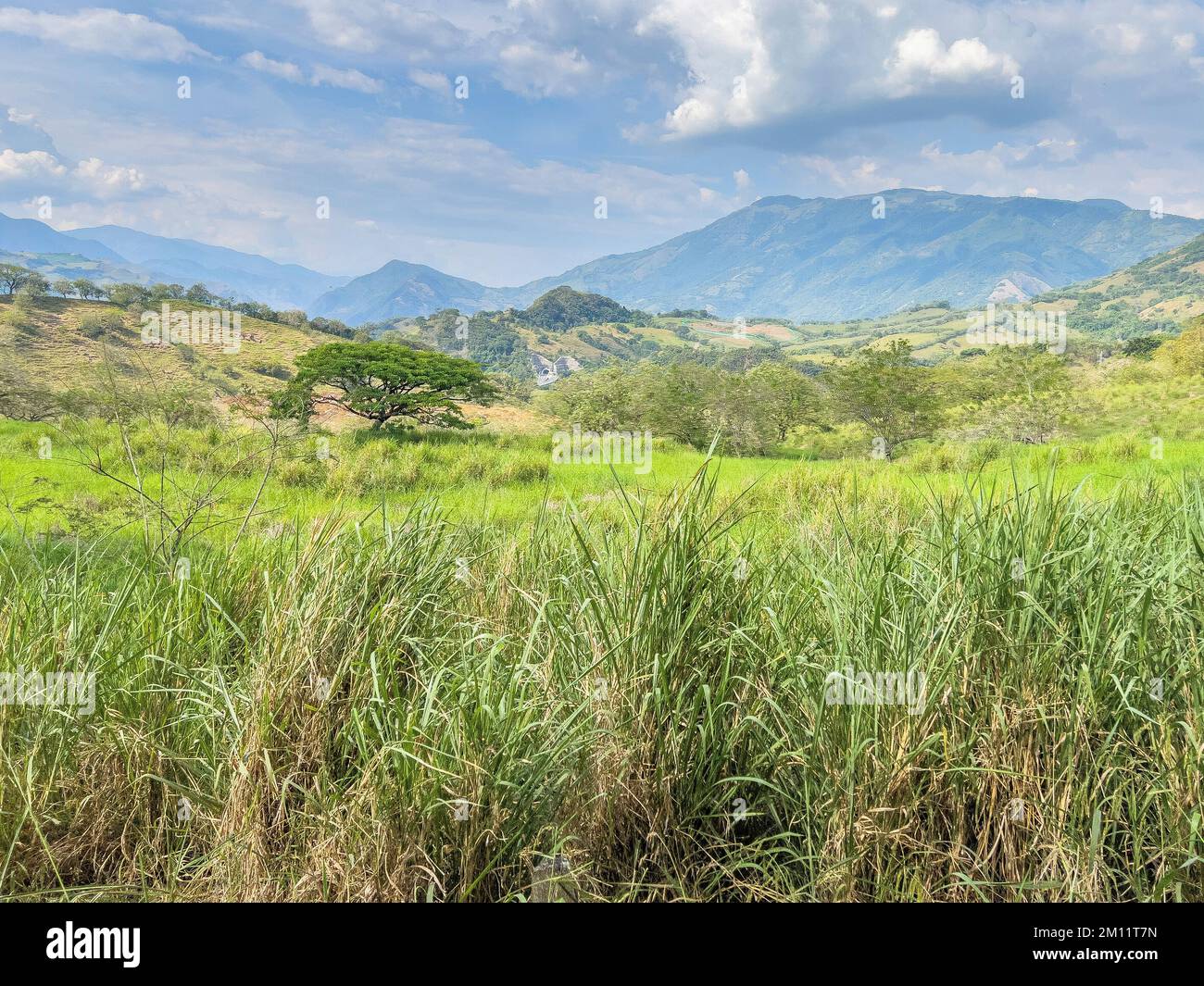 South America, Colombia, Colombian Andes, Departamento Antioquia ...