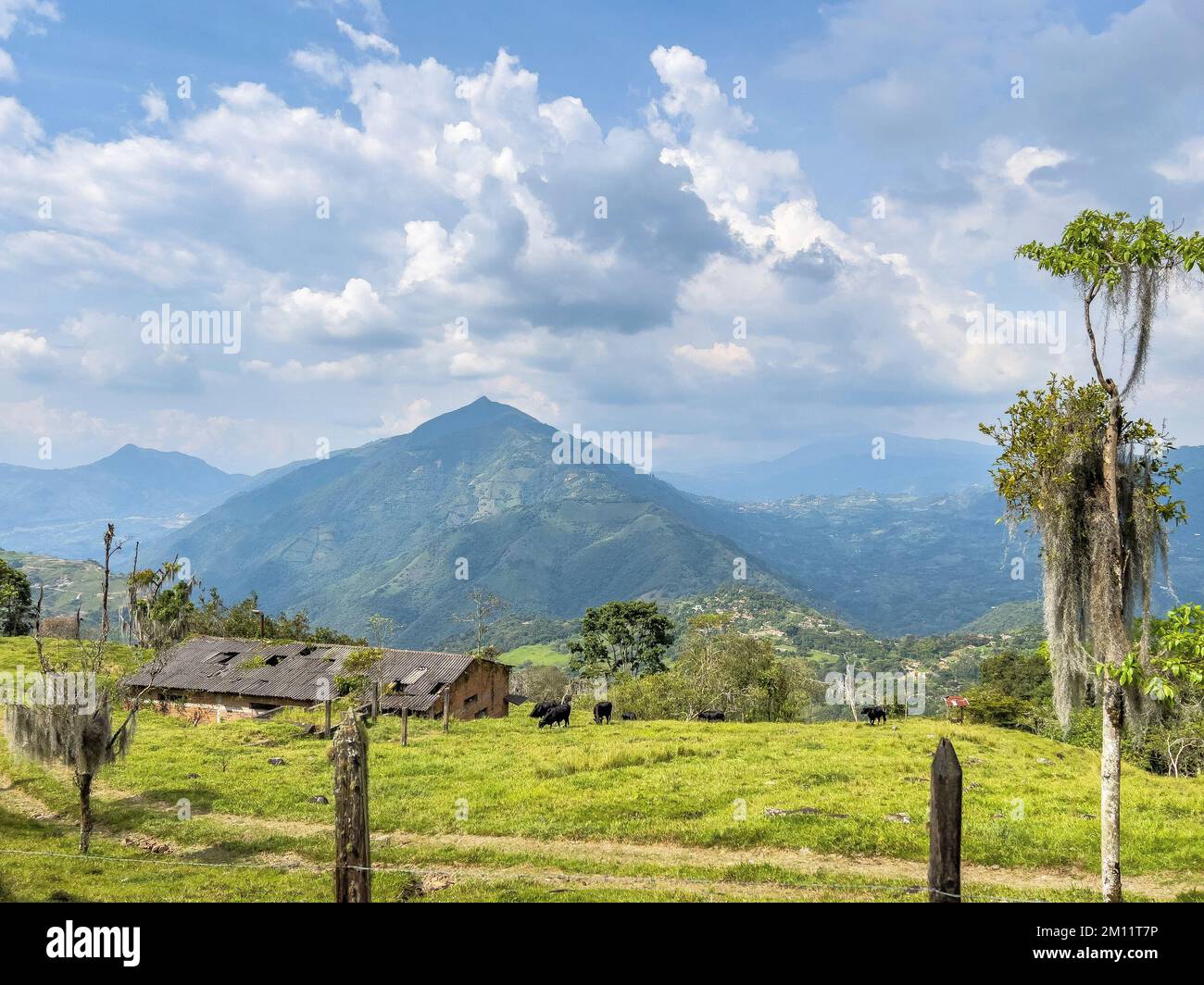 South America, Colombia, Colombian Andes, Departamento Antioquia ...