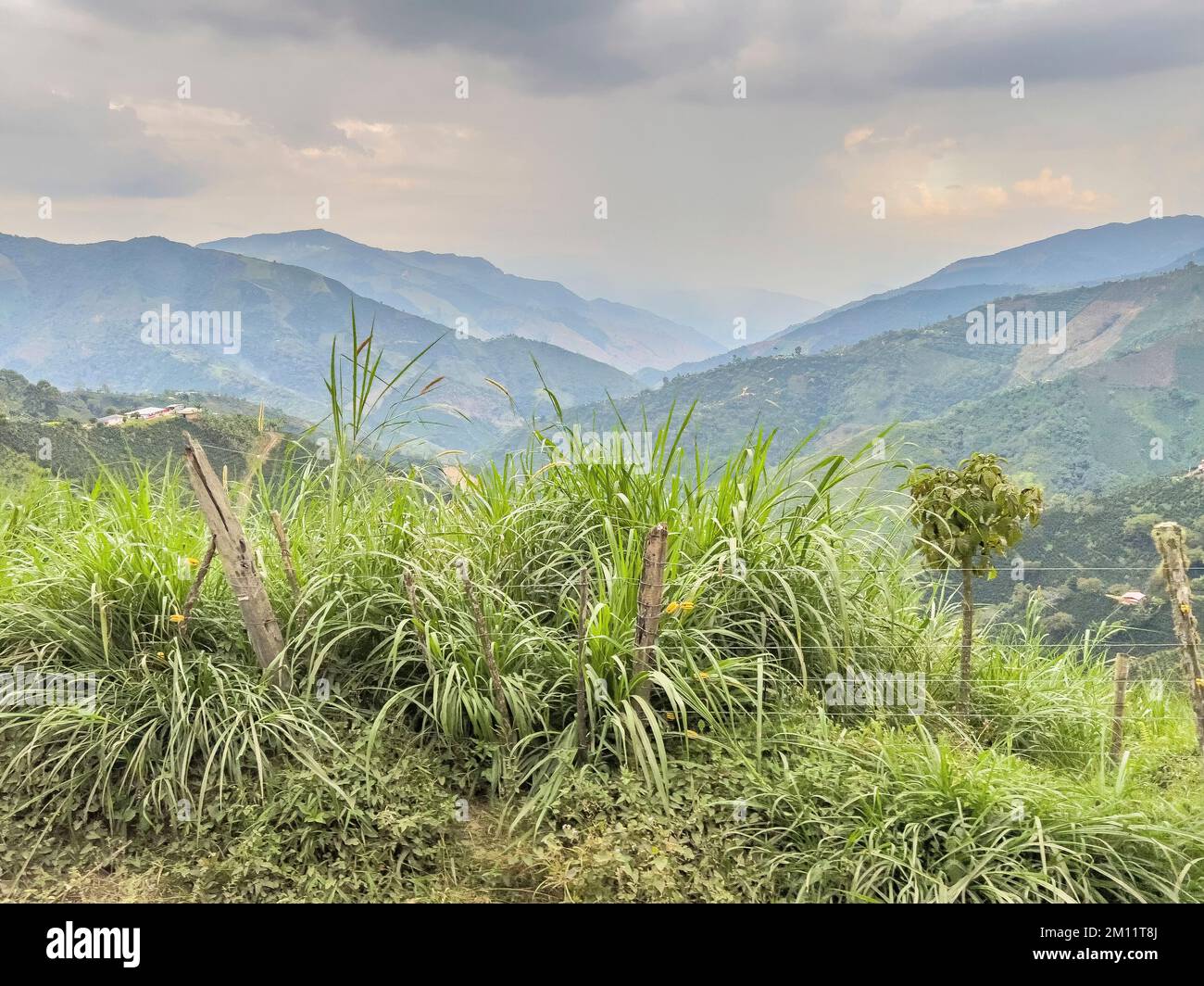 South America, Colombia, Colombian Andes, Departamento Antioquia ...