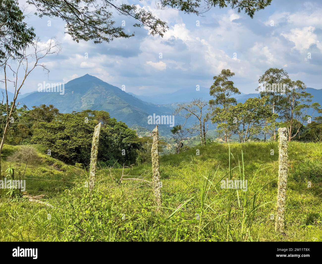 South America, Colombia, Colombian Andes, Departamento Antioquia ...