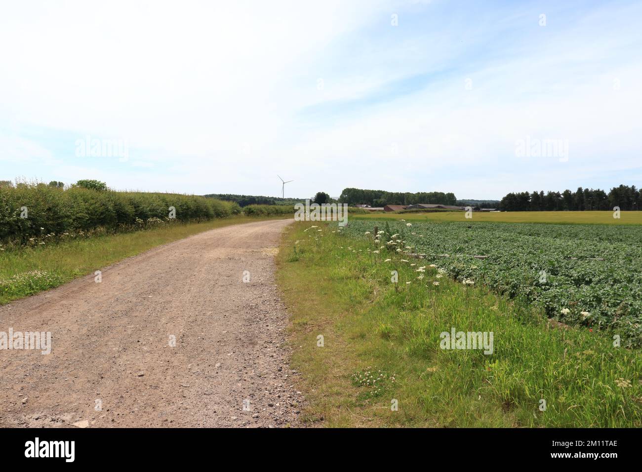 Rayton Lane; Worksop; Notts; England; UK Stock Photo - Alamy