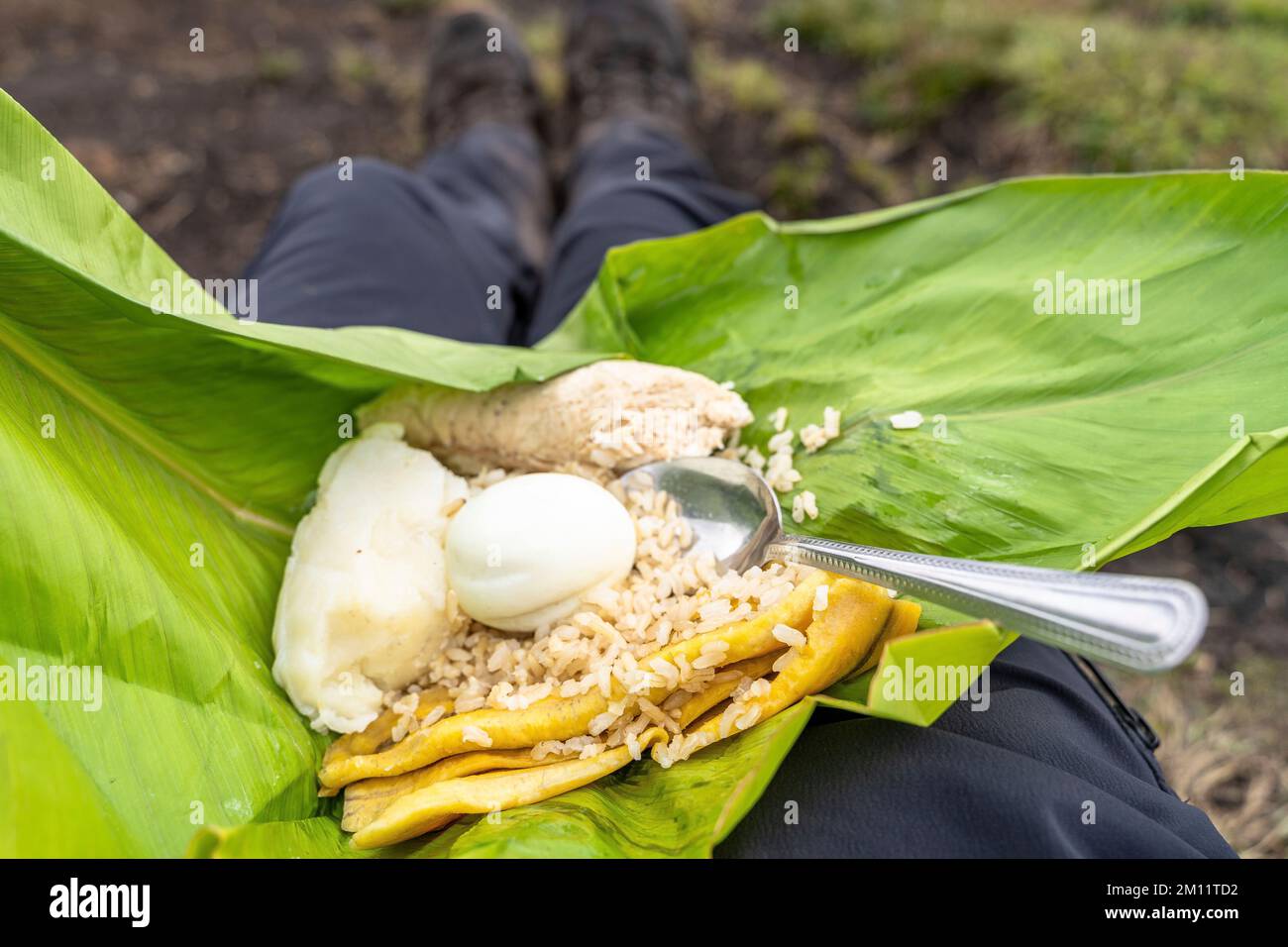 South America, Colombia, Departamento Antioquia, Colombian Andes, Urrao ...