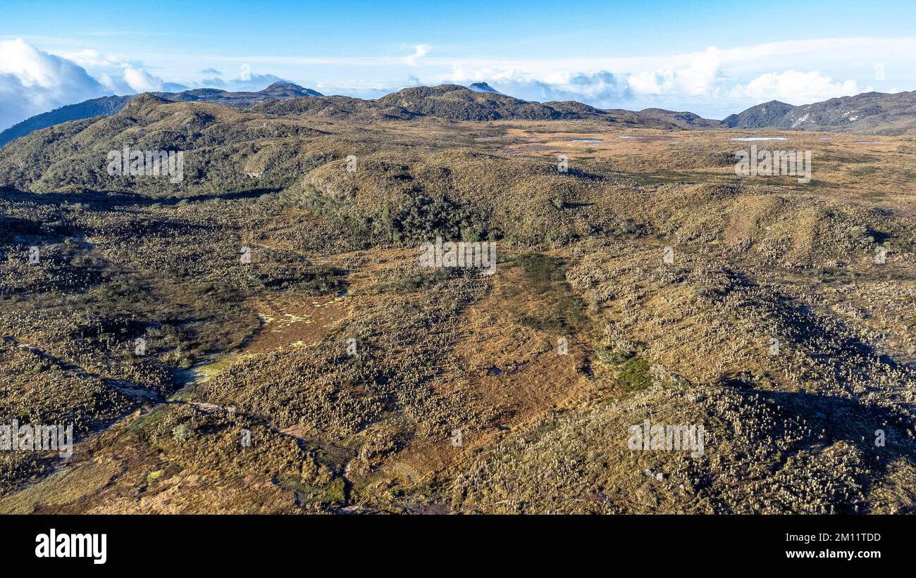 South America, Colombia, Department of Antioquia, Colombian Andes ...