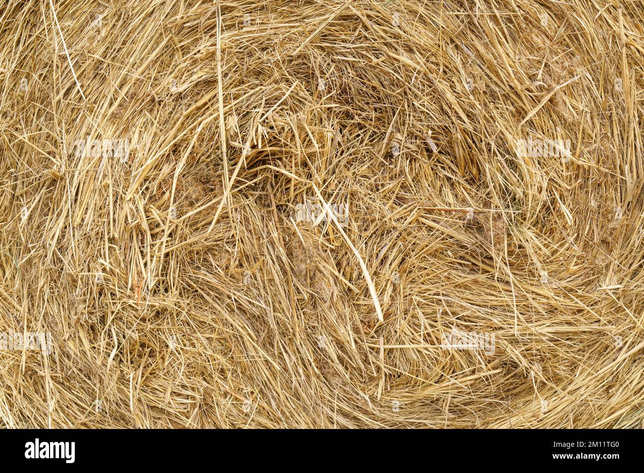 Seamless texture of hay, straw. Dried hay background. Texture ... Seamless texture of hay, straw. Dried hay background. Texture ...