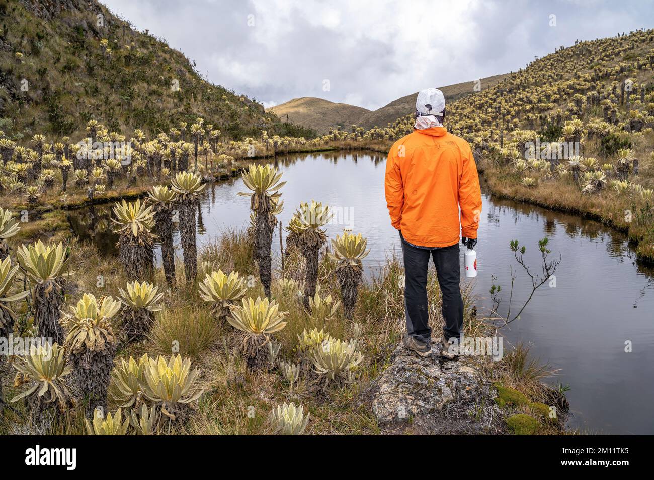 Andescape hi-res stock photography and images - Alamy